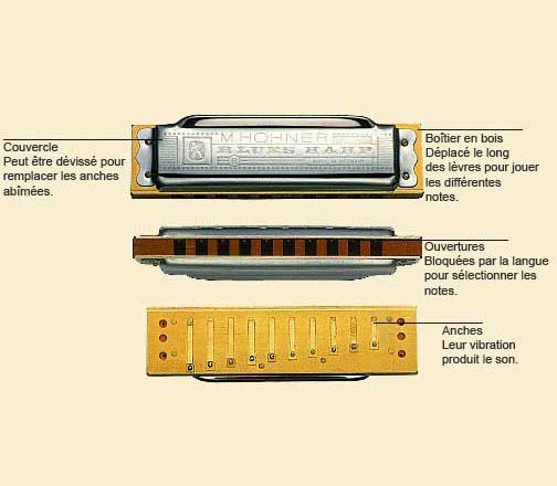 FMP Presanse - harmonicas